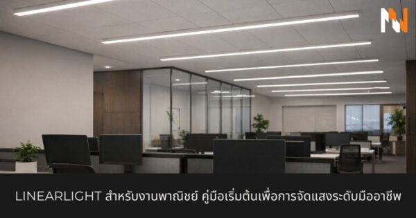 linearlight สำหรับงานพาณิชย์ คู่มือเริ่มต้นเพื่อการจัดแสงระดับมืออาชีพ ...